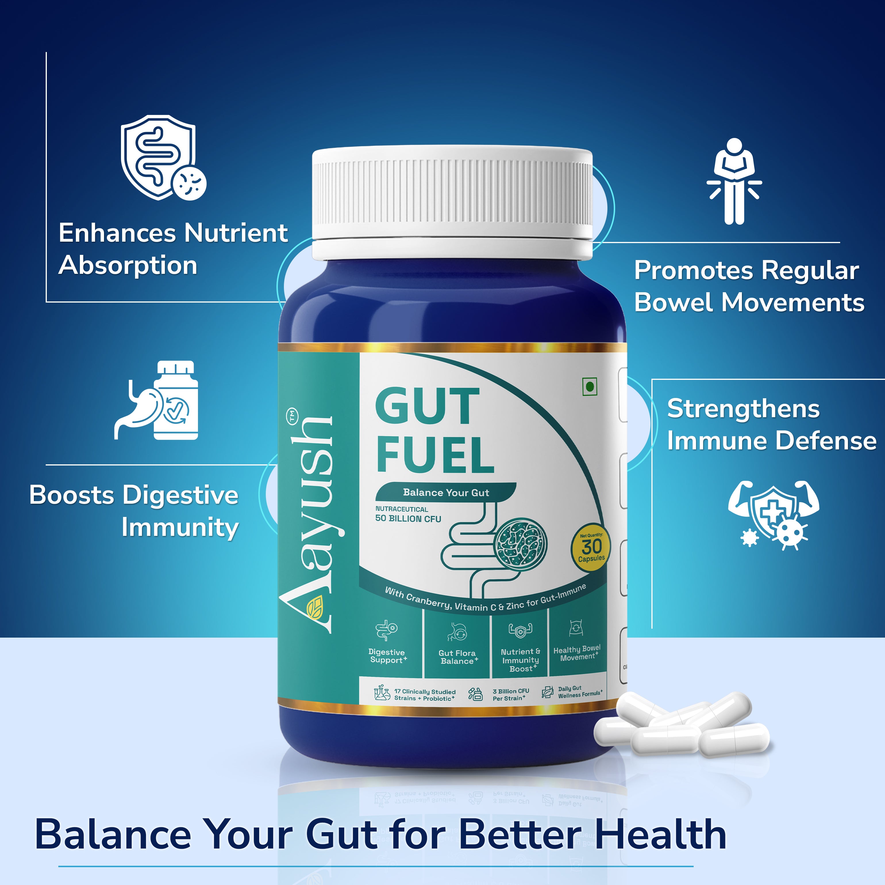 Aayush Wellness Digestive Enzymes & Gut Supplements | Pre & Probiotics ...
