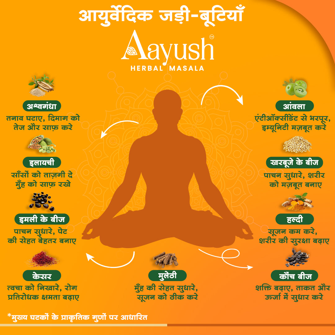 Buy Aayush Herbal Masala - Premium Taste, 100% Herbal – Aayush Wellness ...